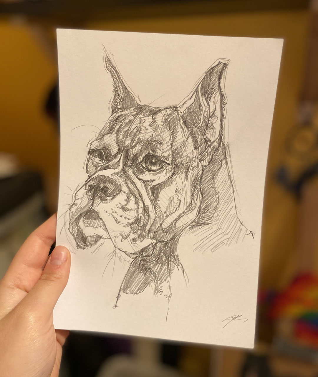Boxer - A5 » MyPetArt