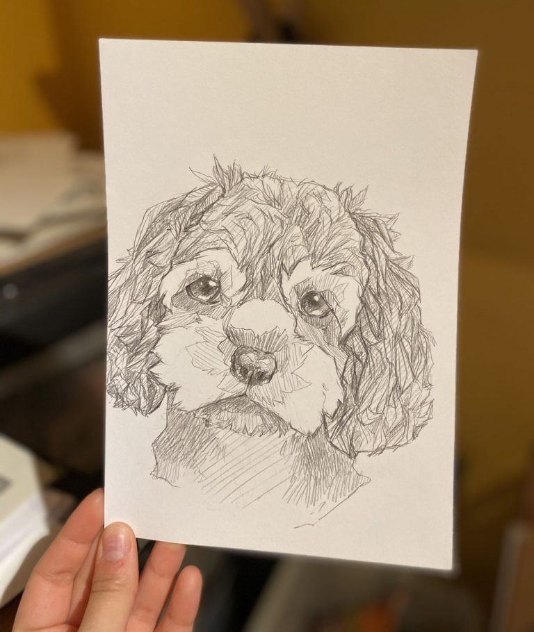 Cockapoo - A5 » MyPetArt