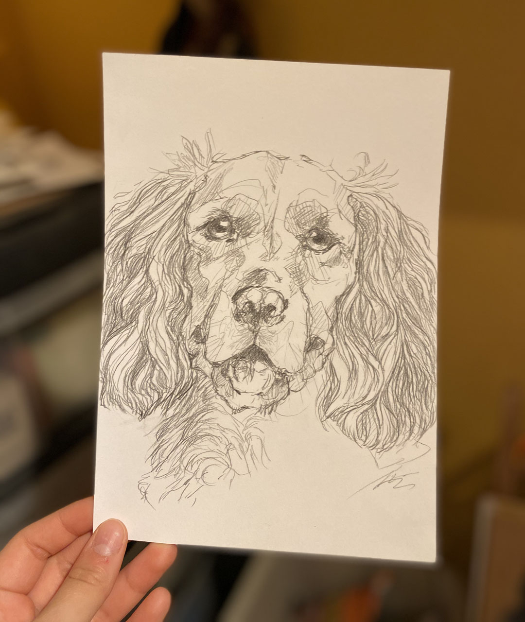 Cocker Spaniel - A5 » MyPetArt
